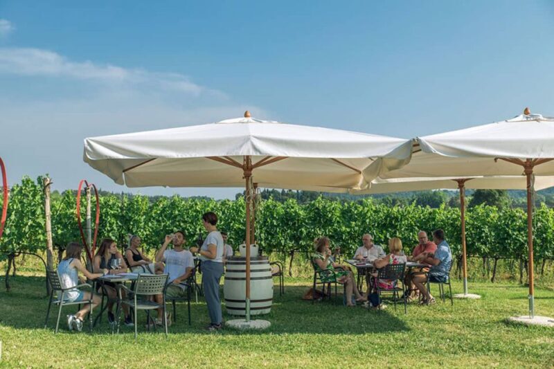 Lake Garda: Wine and Food Tastings in the Vineyards - Key Points