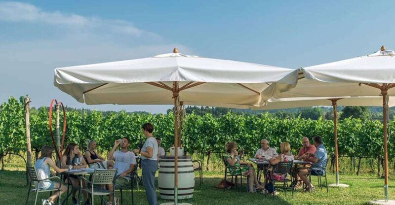 Lake Garda: Wine and Food Tastings in the Vineyards - The Group Size and Tour Structure