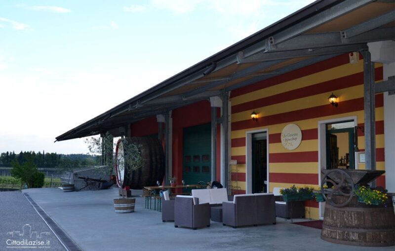 Lake Garda: Wine and Food Tastings in the Vineyards - Who Should Consider This Tour?