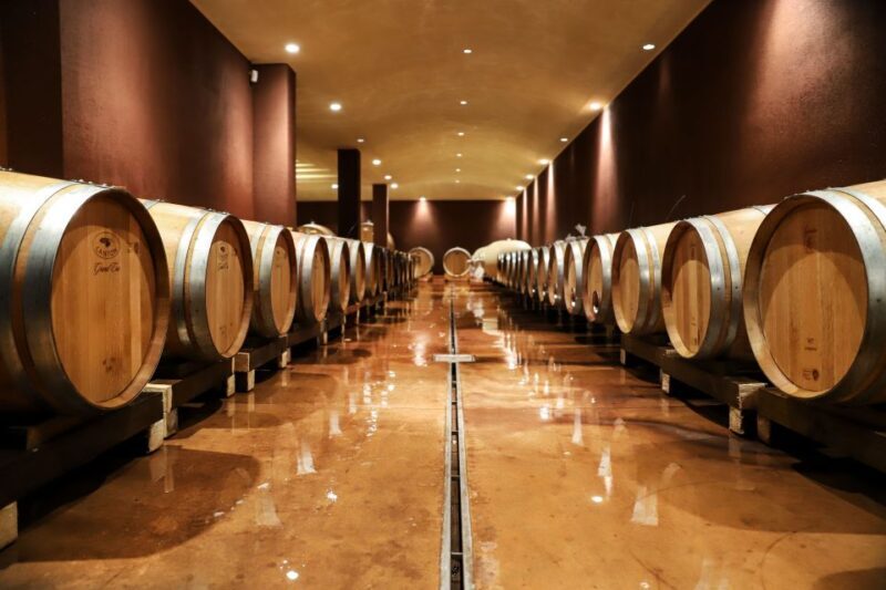 Lake Garda: Wine Tour and Tasting Experience in Bardolino - Exploring the Lake Garda Wine Tour and Tasting Experience in Bardolino