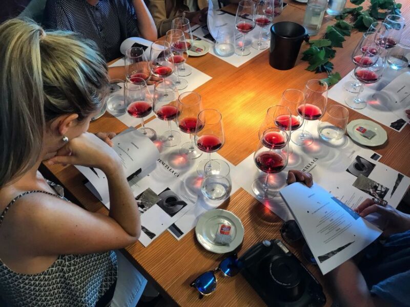 Lake Garda: Wine Tour and Tasting Experience in Bardolino - Key Points