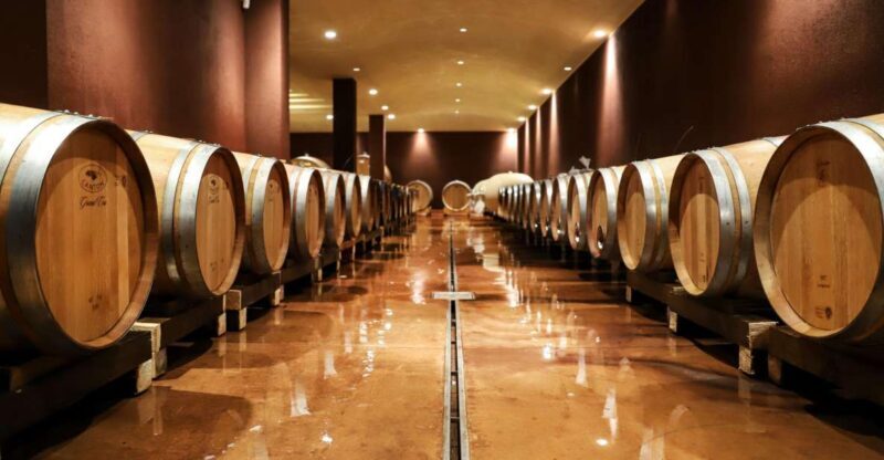 Lake Garda: Wine Tour and Tasting Experience in Bardolino - The Itinerary: From Vine to Glass