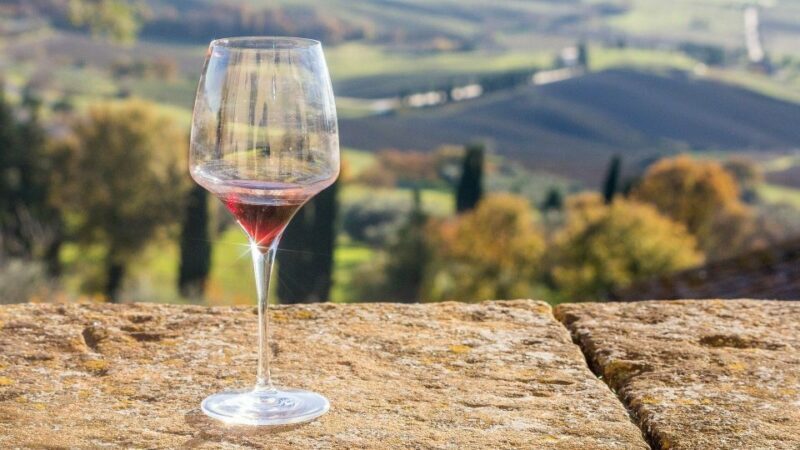 Lake Garda: Wine Tour and Tasting Experience in Bardolino - Who Will Love This Experience?