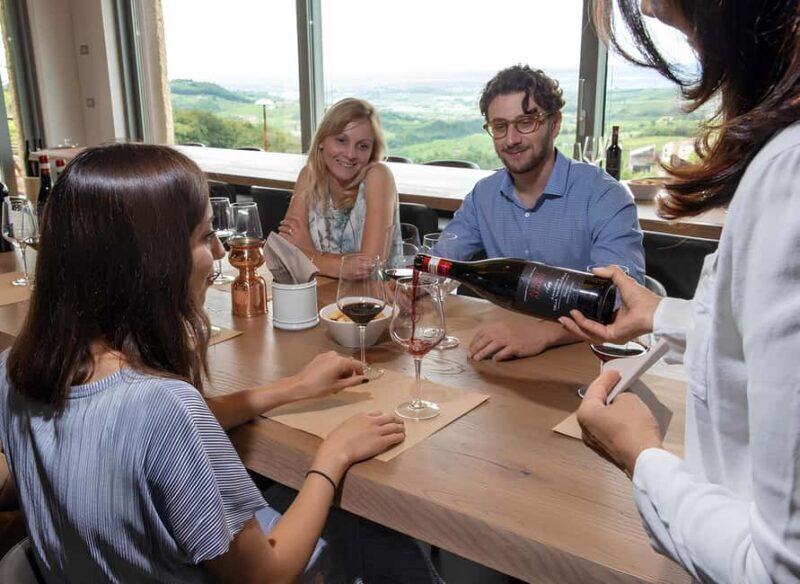Lake Garda: Winery Tour and Wine Tasting in Valpolicella - What to Expect on the Tour
