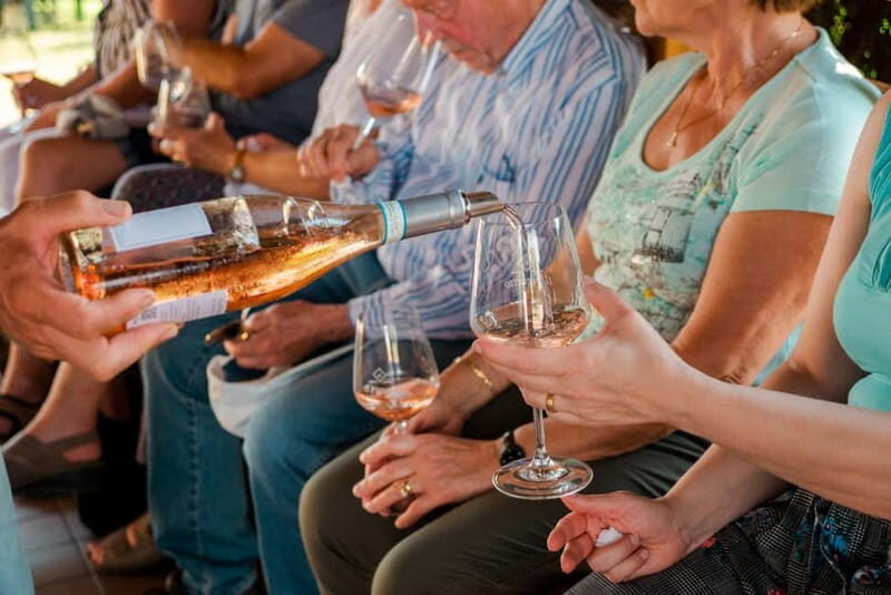 Lake Garda: Winery Tour & Wine Tasting with Local Delicacies - Introduction