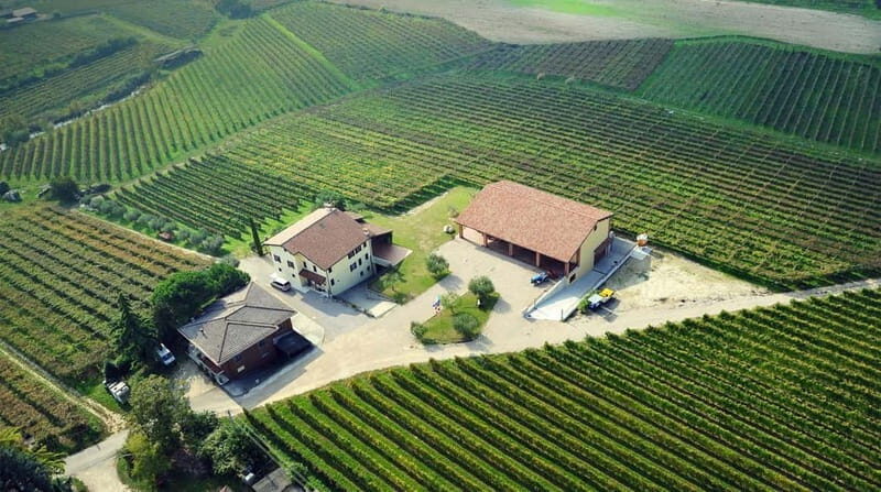 Lake Garda: Winery Tour & Wine Tasting with Local Delicacies - FAQ