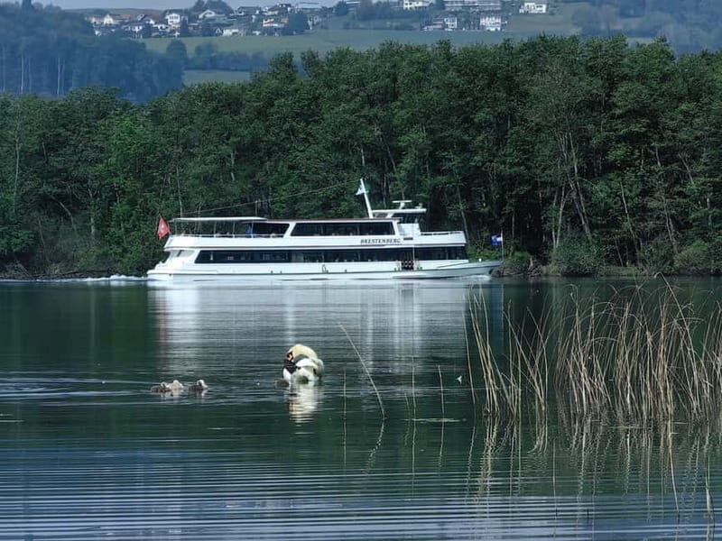 Lake Hallwil: round trip or day ticket for Lake Hallwil - Who Should Consider This Tour?
