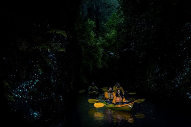 Lake Karapiro: Evening Kayak Glowworm Tour - Authentic Experiences & Hidden Gems