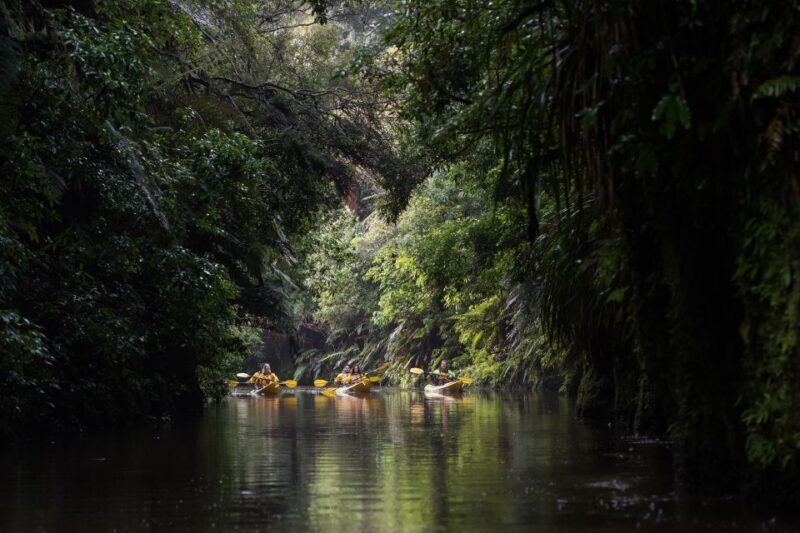 Lake Karapiro: Evening Kayak Glowworm Tour - Practical Tips for Your Tour