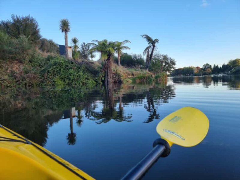 Lake Karapiro: Evening Kayak Glowworm Tour - The Sum Up: Who Is It Best For?
