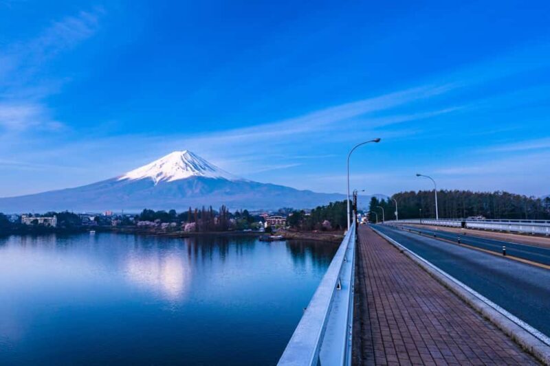 Lake Kawaguchi: 1-Day Bicycle Rental - The Sum Up