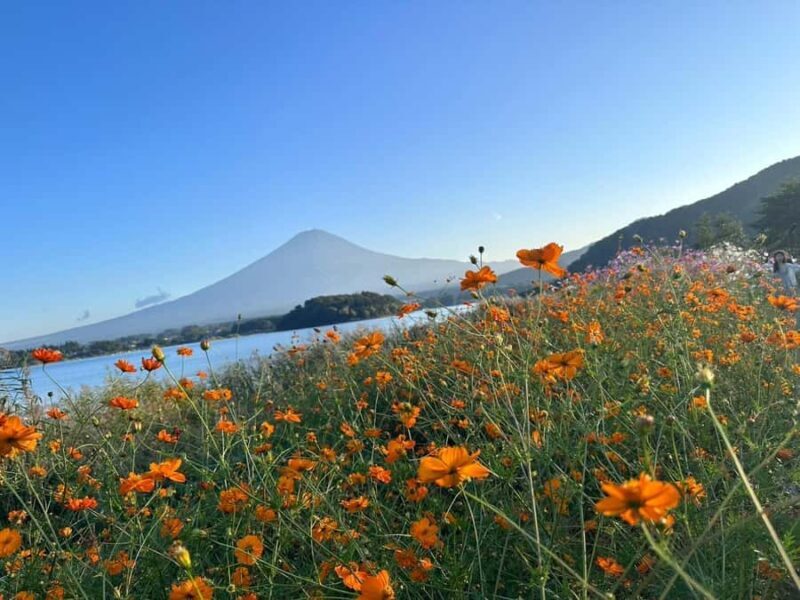 Lake Kawaguchi : Exclusive Private Tour with Local Guide - FAQ: Common Questions About the Tour