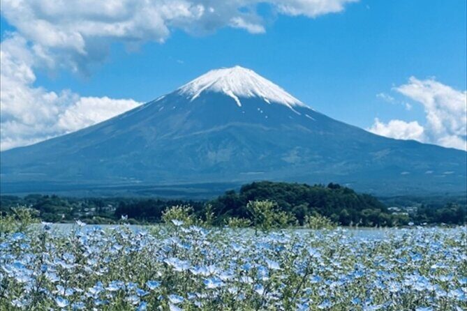 Lake Kawaguchi, Fuji Oishi Hana Terrace Guided Tour-Van - Who Will Love This Tour?
