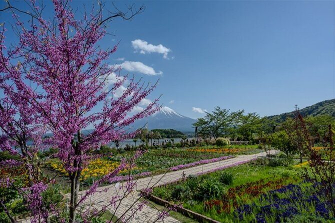 Lake Kawaguchi, Fuji Oishi Hana Terrace Guided Tour-Van - The Sum Up: A Quiet, Scenic Day Near Mt. Fuji