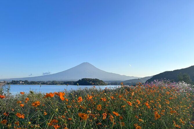 Lake Kawaguchi : Private Half-Day Tour with local guide - The Sum Up: A Smart Choice for Scenic Sightseeing
