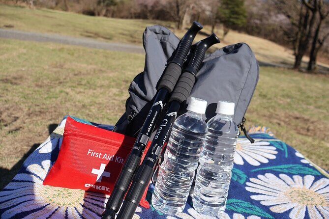 Lake Kawaguchi Private Hiking Tour with local guide - The Experience in Detail