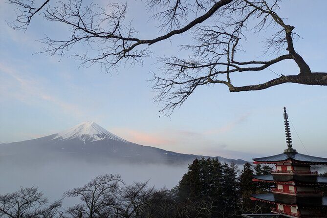 Lake Kawaguchi Private Hiking Tour with local guide - The Value of the Tour