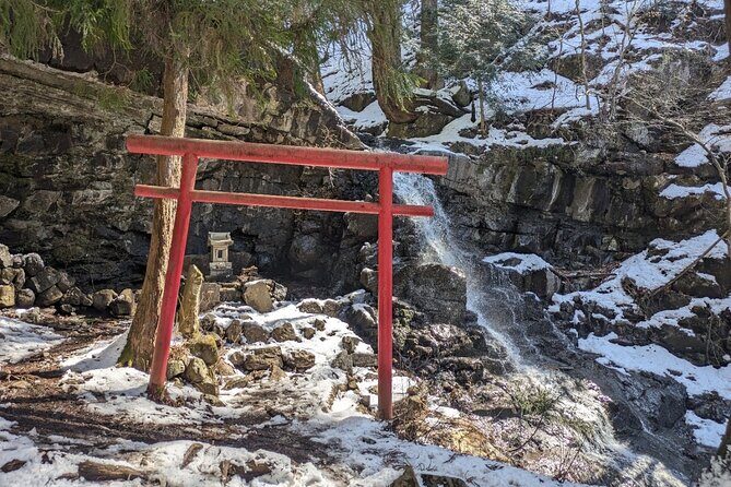 Lake Kawaguchi Private Hiking Tour with local guide - The Community and Atmosphere