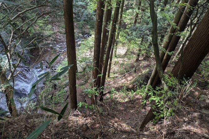 Lake Kawaguchi Private Hiking Tour with local guide - Who Should Consider This Tour?
