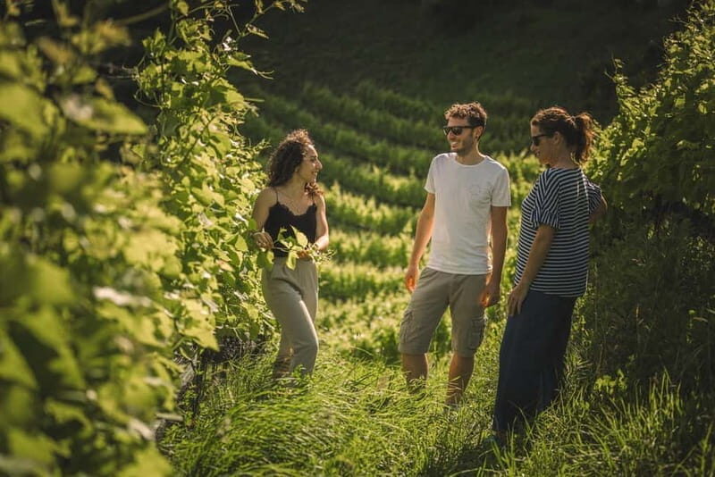 Lake Ledro: wine Pic Nic with stunning Lake View - Who This Tour is Best For