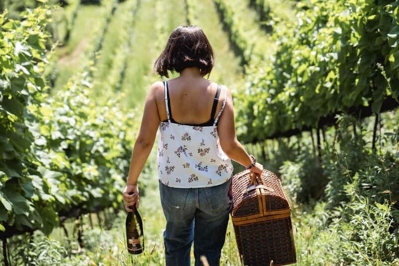Lake Ledro: wine Pic Nic with stunning Lake View - FAQ