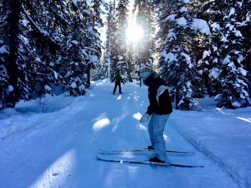 Lake Louise: Cross Country Skiing Lesson with Tour - An Overview of the Experience