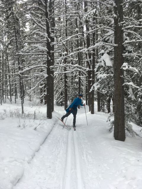 Lake Louise: Cross Country Skiing Lesson with Tour - A Solid Choice for Authentic Mountain Fun