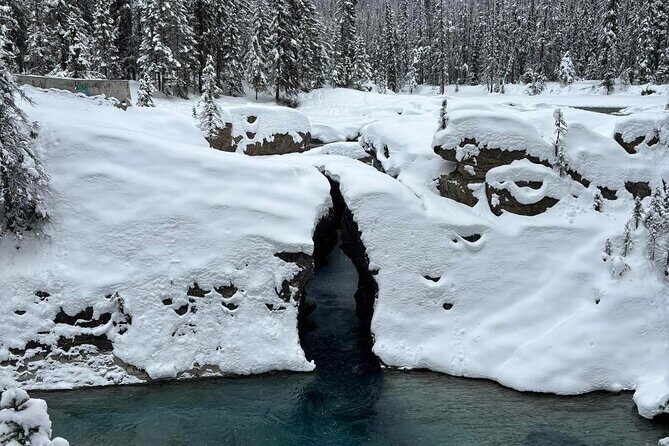 Lake Louise, Moraine Lake, Emerald Lake and Johnston Canyon Tour - How the Experience Feels: From the Travelers Perspective