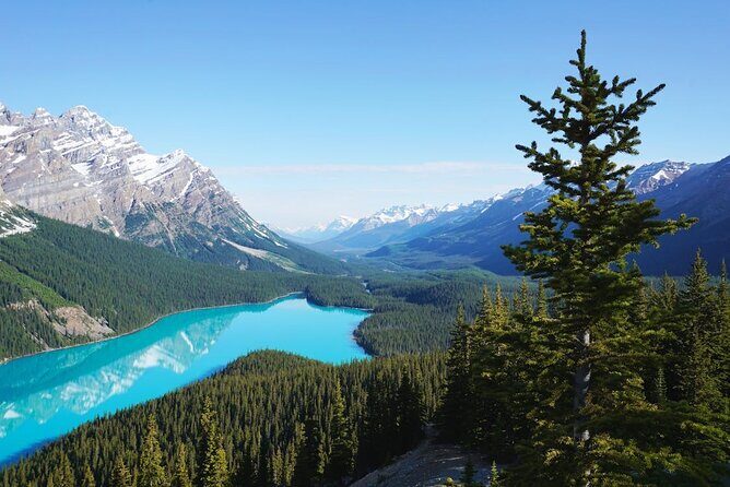 Lake Louise Peyto Lake Bow Lake Crowfoot Glacier Half Day Tour - FAQ