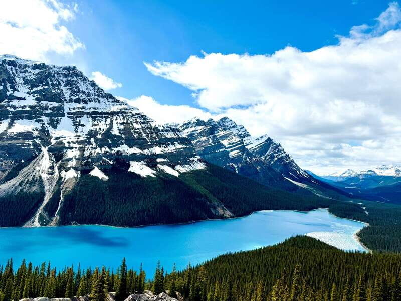 Lake Louise, Peyto Lake, Johnston Canyon & Icefields Parkway - Discovering the Canadian Rockies: A Full-Day Tour Experience