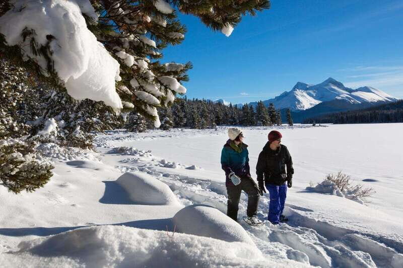 Lake Louise, Peyto Lake, Johnston Canyon & Icefields Parkway - Key Points