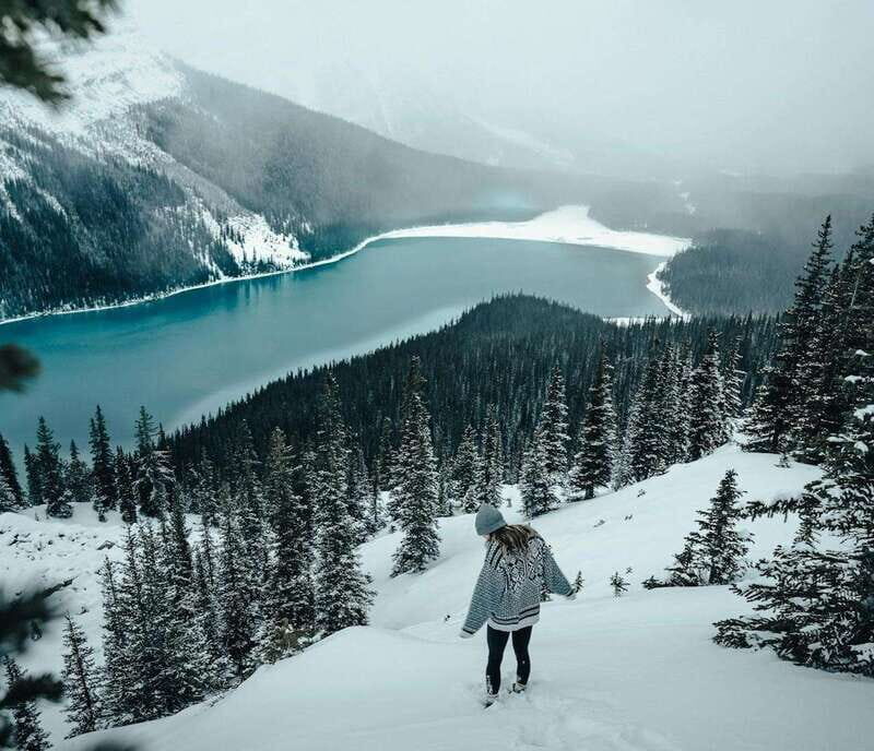 Lake Louise, Peyto Lake, Johnston Canyon & Icefields Parkway - Who This Tour Is Perfect For