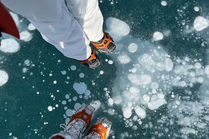 Lake Louise & Snow Fun Day Tour - Key Points