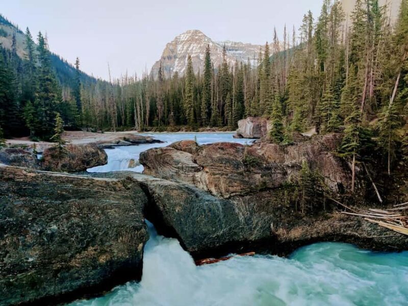 Lake Louise,Moraine,Emerald Lake,Johnston Canyon & BanffTour - Seasonal Adjustments and Flexibility