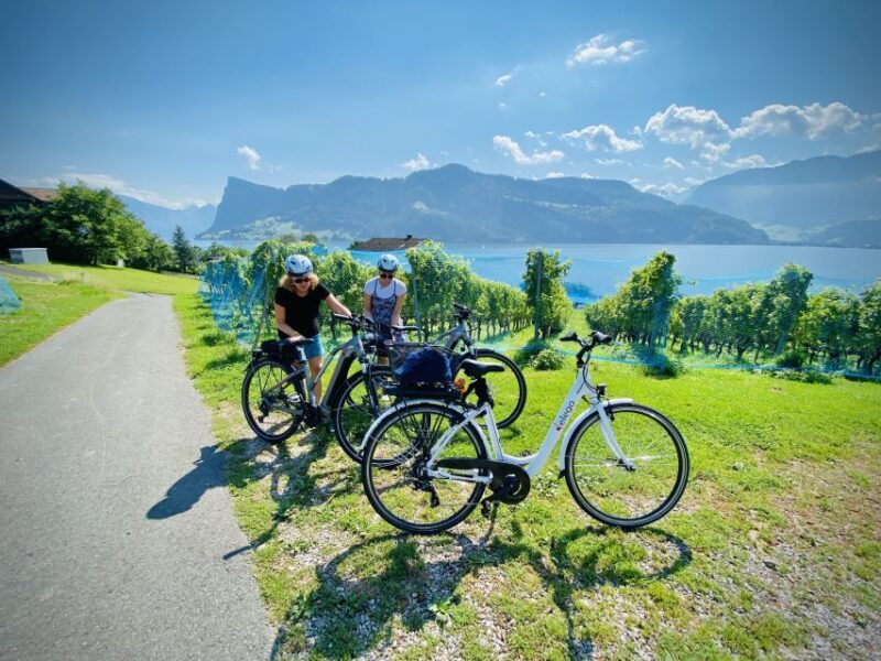 Lake Lucerne Peninsula e-bike Tour - Analyzing the Value