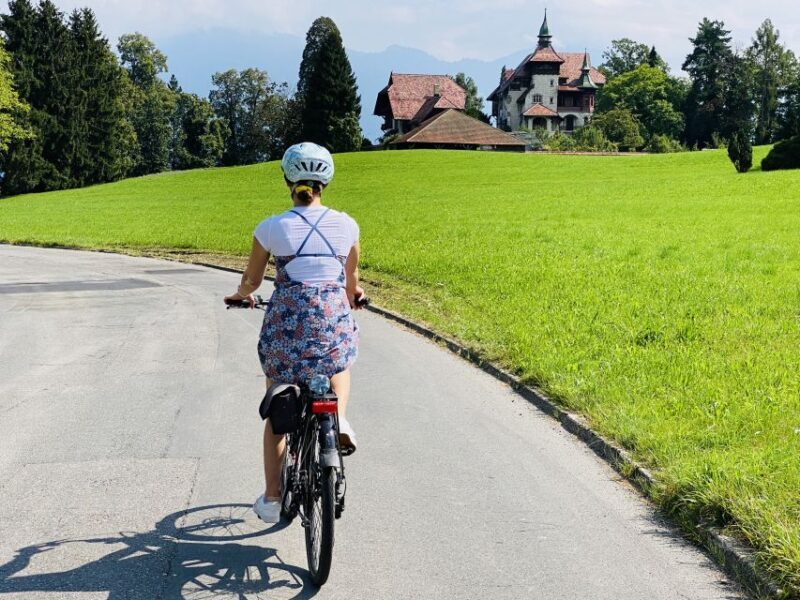 Lake Lucerne Peninsula e-bike Tour - Who Will Love This Tour?