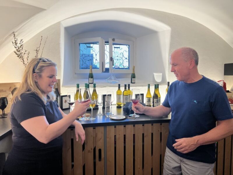 Lake Lucerne Region Wine Tasting - Why This Tour Works for Different Travelers