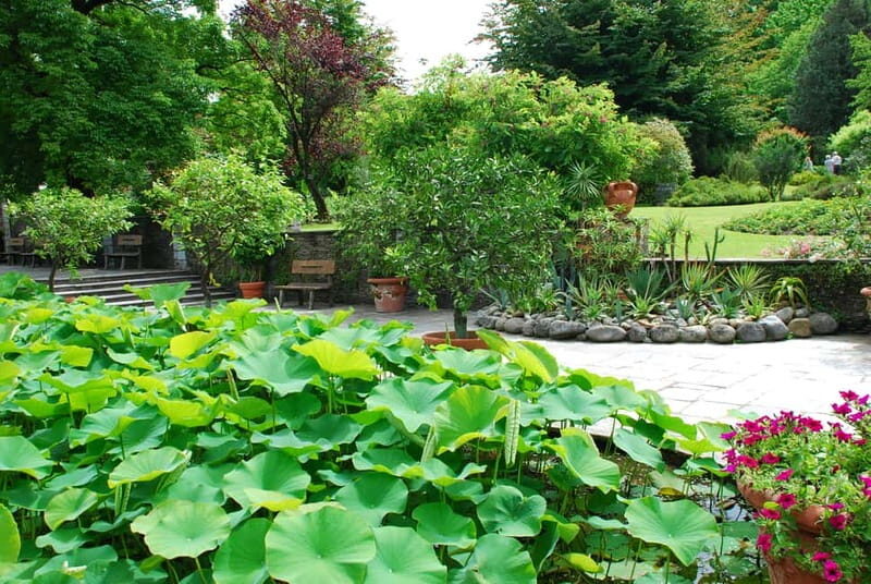 Lake Maggiore Art and Gardens - FAQ