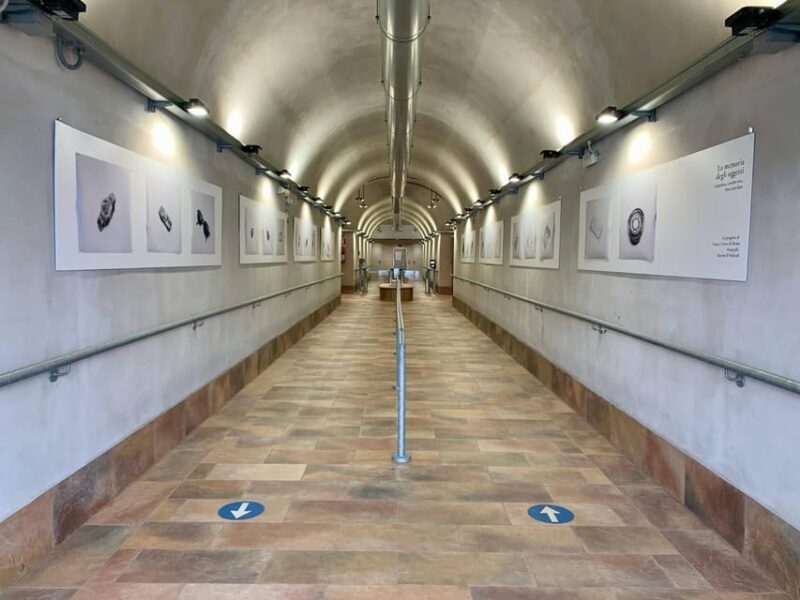 Lake Maggiore: Santa Caterina del Sasso Hermitage Ticket - An Authentic Look at Santa Caterina del Sasso