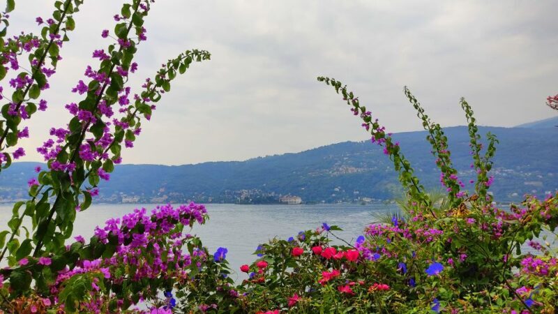 Lake Maggiore: Stresa and Isola Madre Private Tour - Exploring Isola Madre: Gardens and Historic Residence