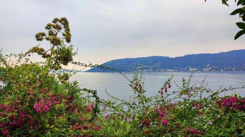 Lake Maggiore: Stresa and Isola Madre Private Tour - The Practicalities: What You Need to Know
