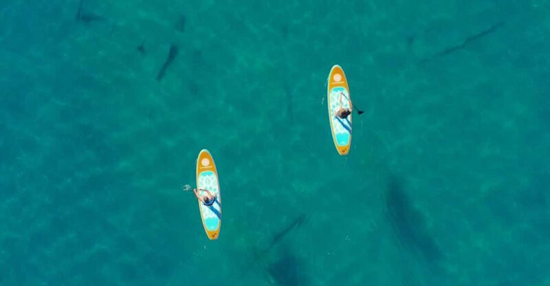 Lake Mead: Paddle Board Rental - Introducing Our Review of Lake Mead Paddle Board Rental