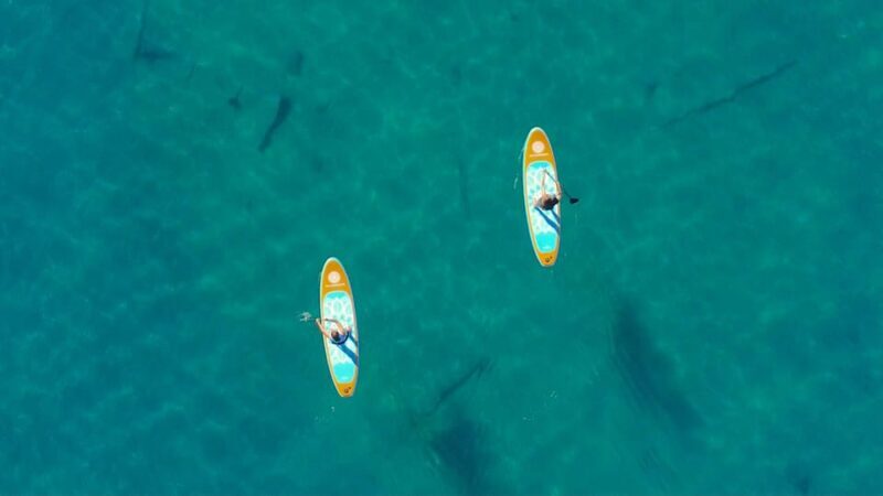 Lake Mead Paddle Board Tour (Private) - What You Can Expect at the Start