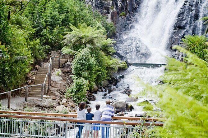 Lake Mountain Snow play and Steavenson Falls from Melburne - The Experience According to Other Travelers