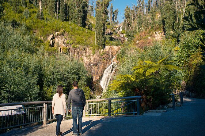 Lake Mountain Snow play and Steavenson Falls from Melburne - Frequently Asked Questions