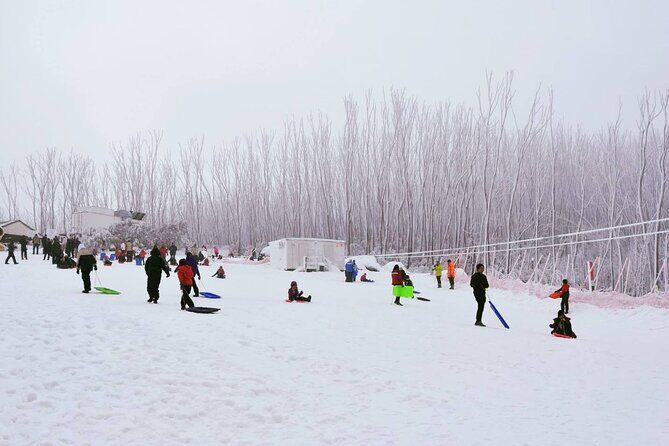 Lake Mountain Snow Private Tour from Melbourne - Who Is This Tour Best For?