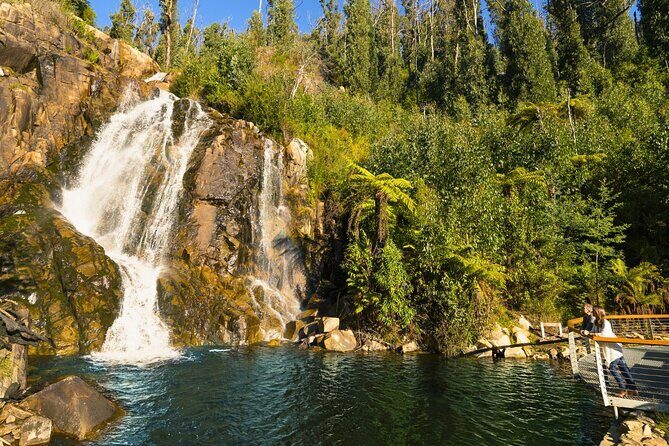 Lake Mountain Snow Tour - Who Will Love This Tour?