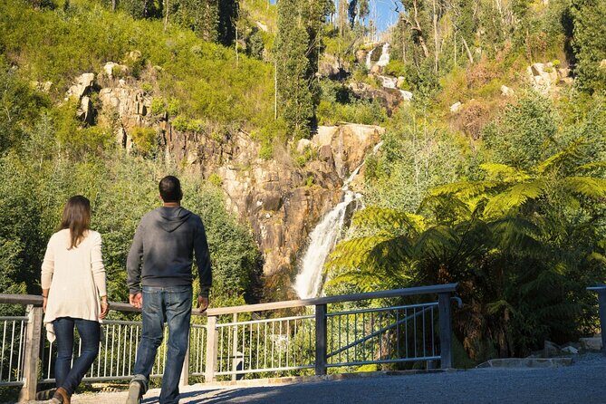 Lake Mountain Snow Tour - The Sum Up