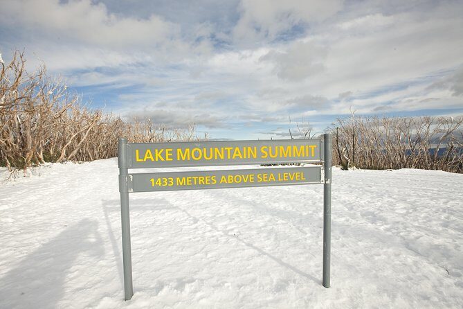 Lake Mountain Snow Trip including Yarra Valley Chocolaterie from Melbourne - The Sum Up