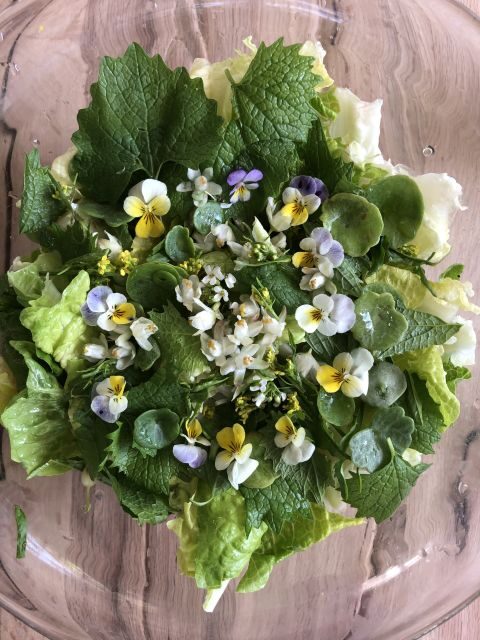 Lake Nemi: Herbs of the Moon Sensory Farm Visit - Key Points